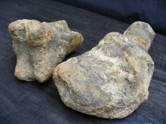 FOSSIL ANCIENT MEGA SIZE BONE Stegodon No Dinosaur Fossils Relic