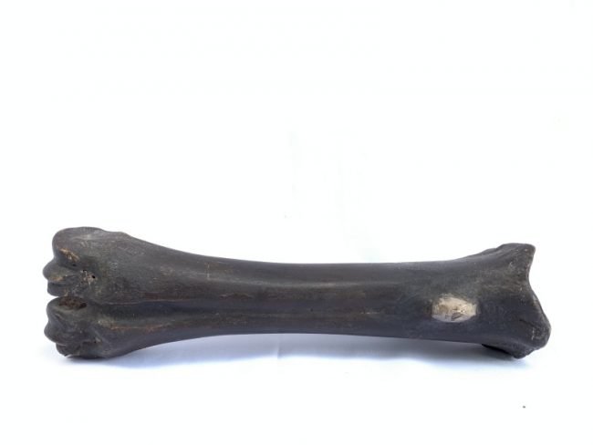 Tribal Axe Jaw Bone Weapon Kapak Jawa Hindu Stone Blade Knife