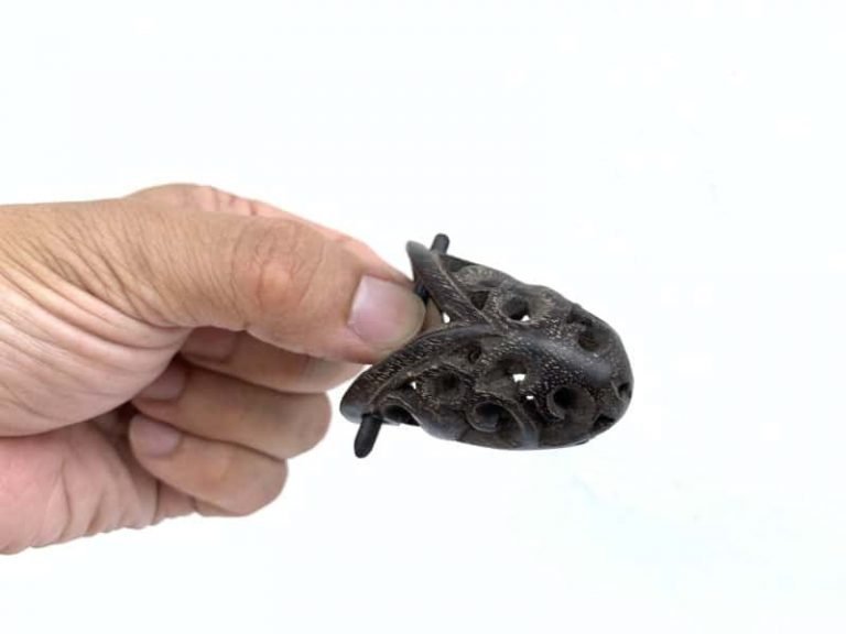 ampallang apadravya Crossbar warrior Palang Penis Piercing Tattoo