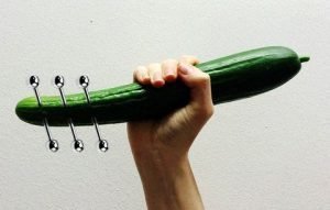 barbell piercing apadravya ampallang palang traditional cultural bone ...